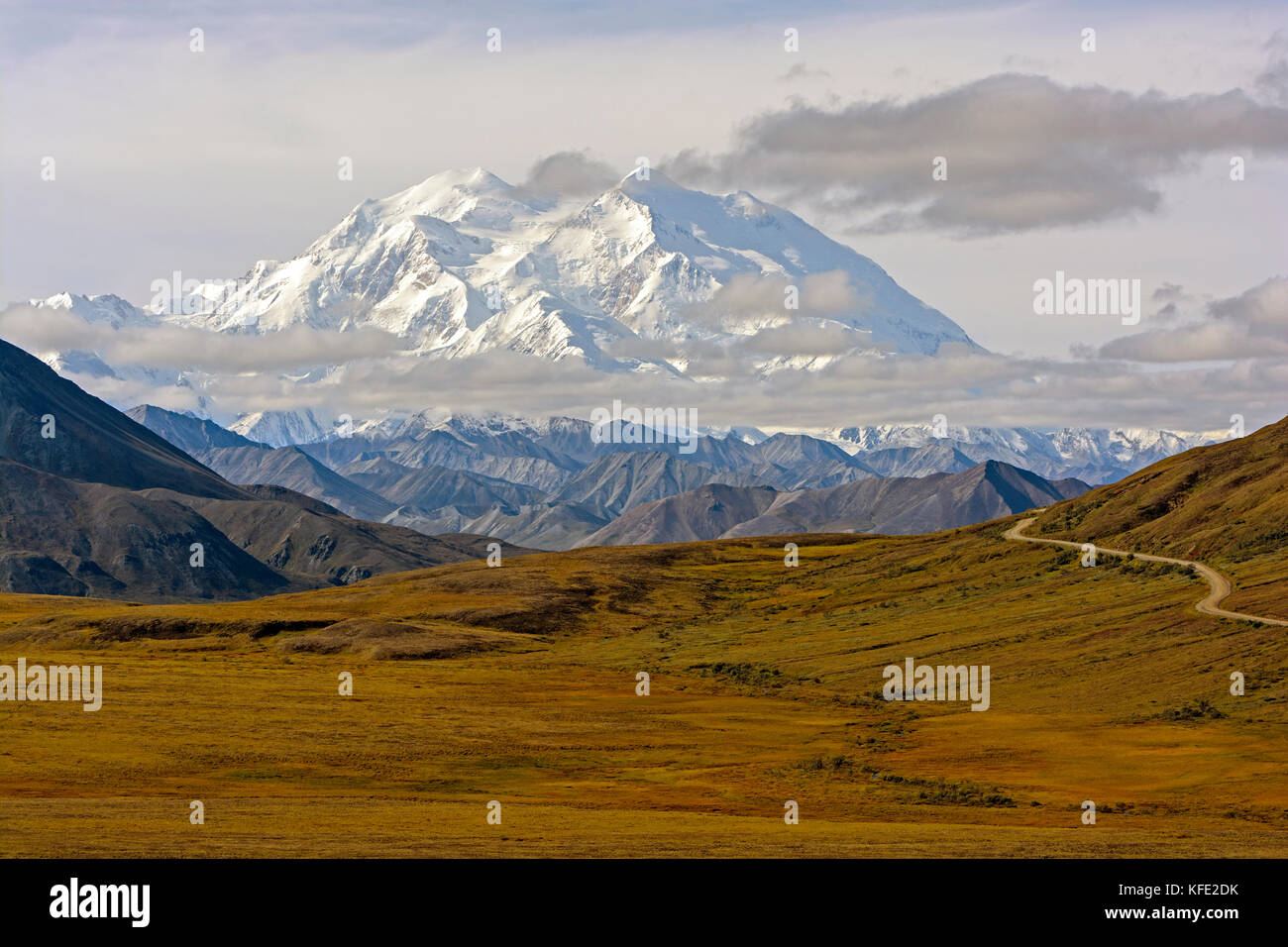 Denali above the Fall Tundra in Denali National Park in Alaska Stock ...
