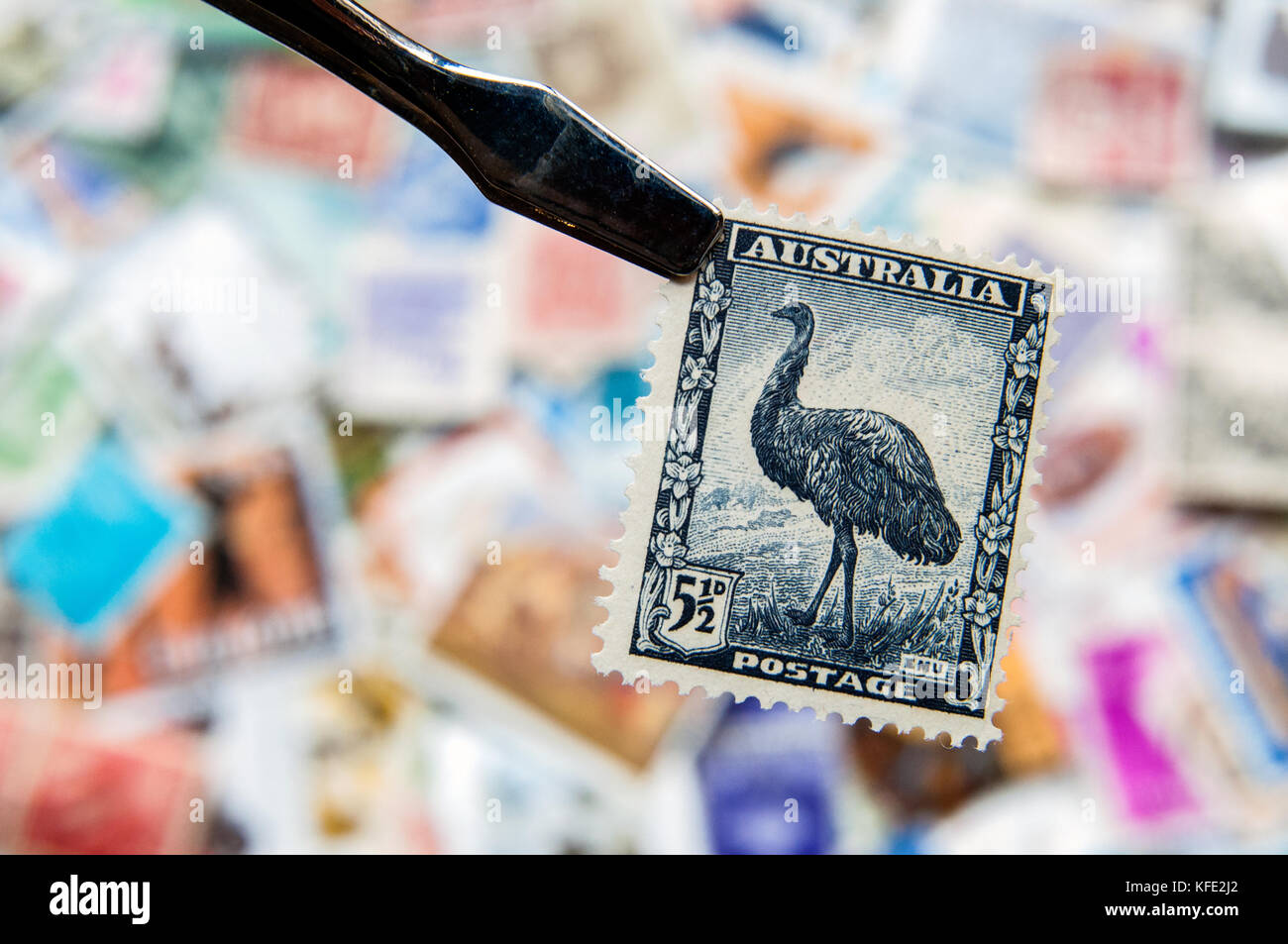 Emu postage stamp hi-res stock photography and images - Alamy