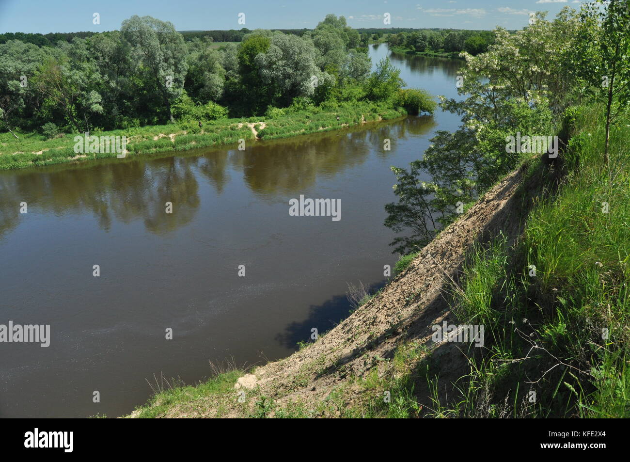 Bug River. Poland wschodnia.Dolina river with trees growing on the ...