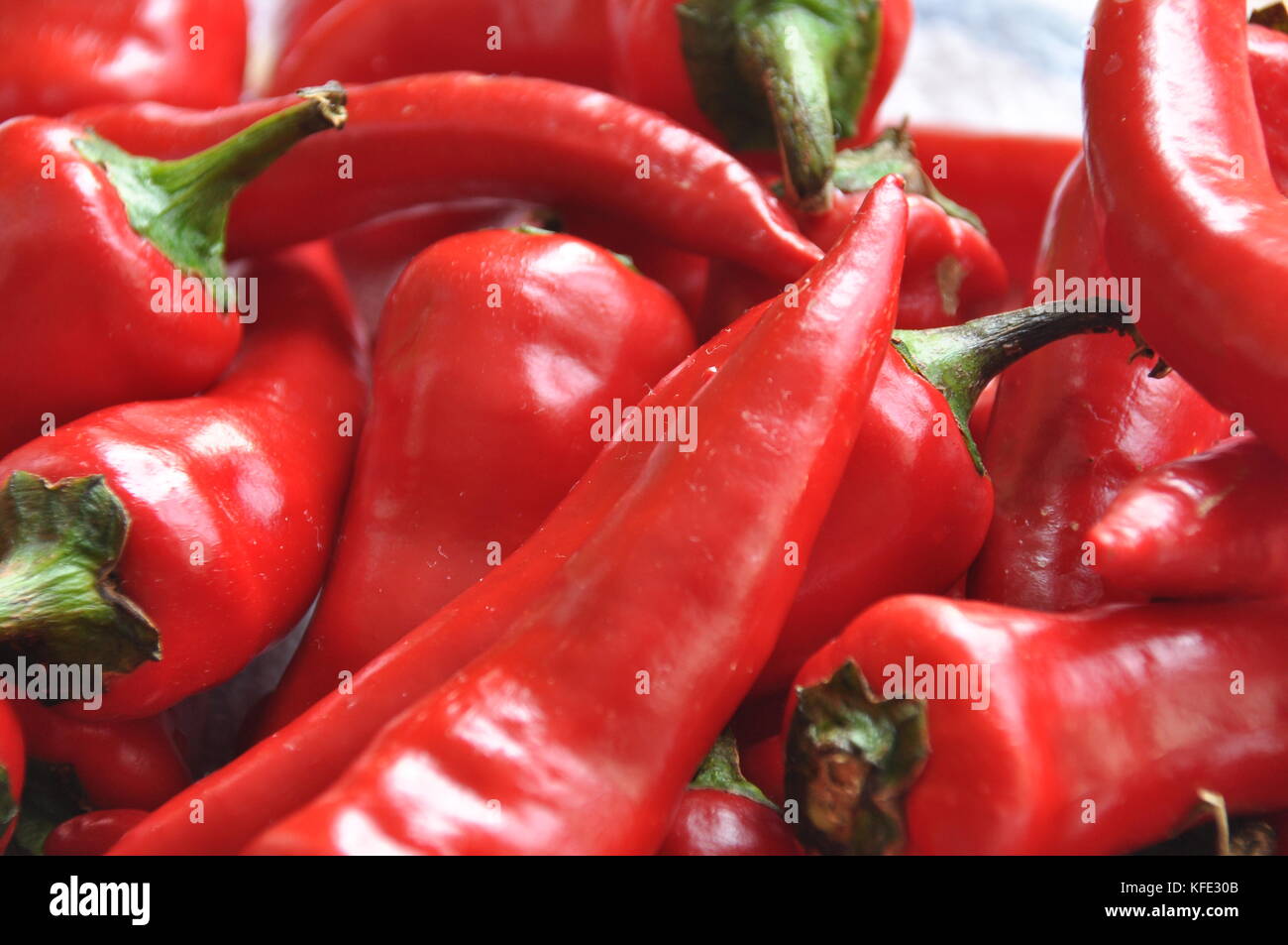 Hot pepper. Pods red vegetables, spicy Stock Photo - Alamy