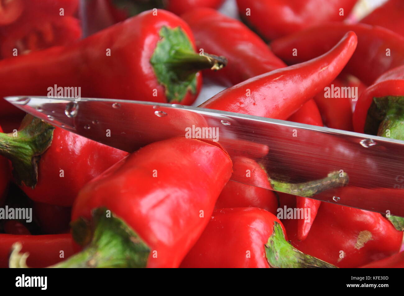 Hot pepper. Pods red vegetables, spicy Stock Photo - Alamy