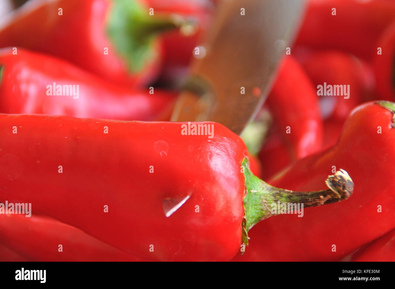 Hot pepper. Pods red vegetables, spicy Stock Photo - Alamy