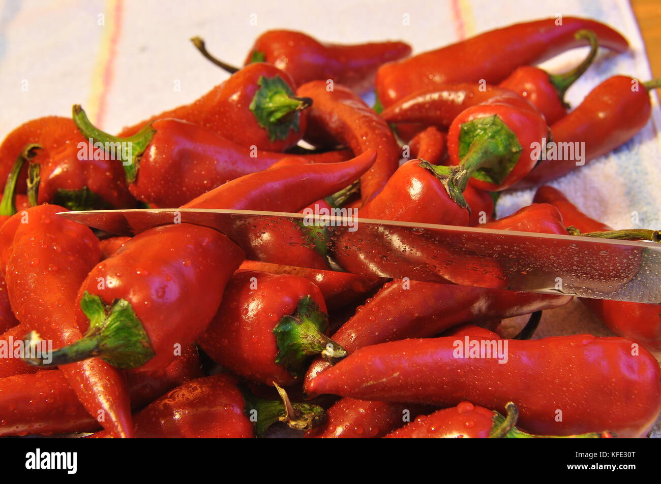 Hot pepper. Pods red vegetables, spicy Stock Photo - Alamy