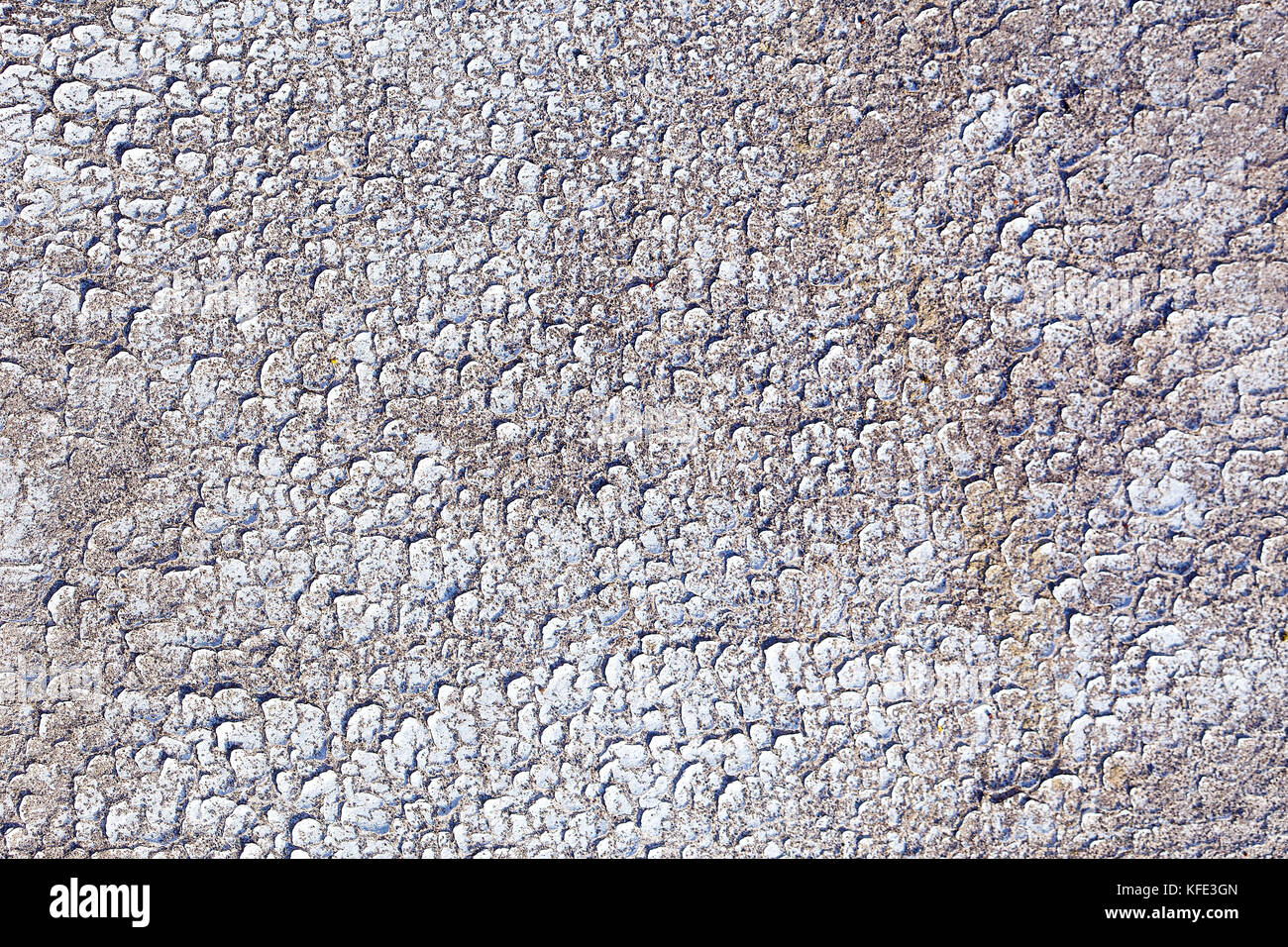 Grey crackle wall texture, color crackle background Stock Photo - Alamy