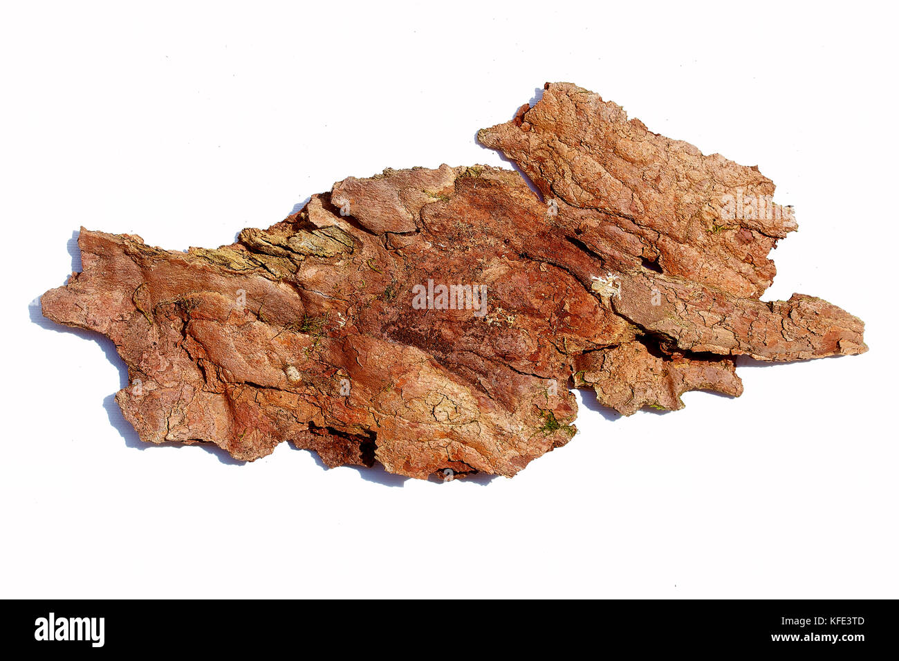 Detailed design create Cut Out Stock Images & Pictures - Alamy