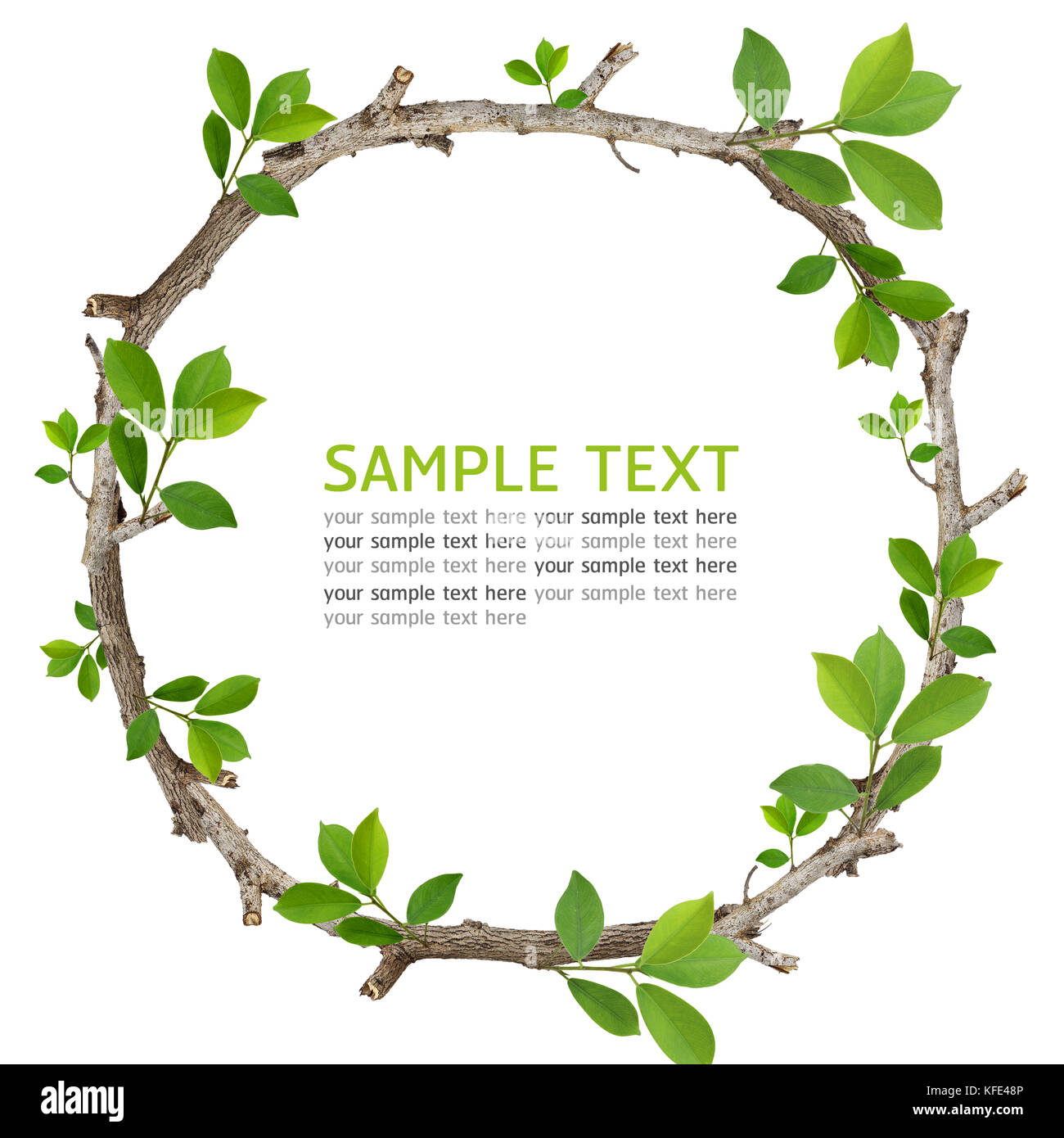 Twig Border Clip Art