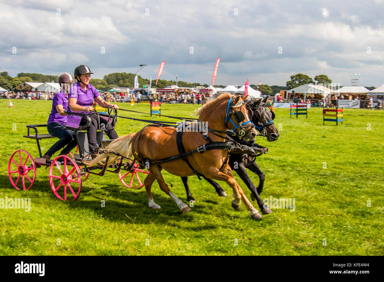 The British Scurry trials driving and Arena challenge at Cheshire Game ...