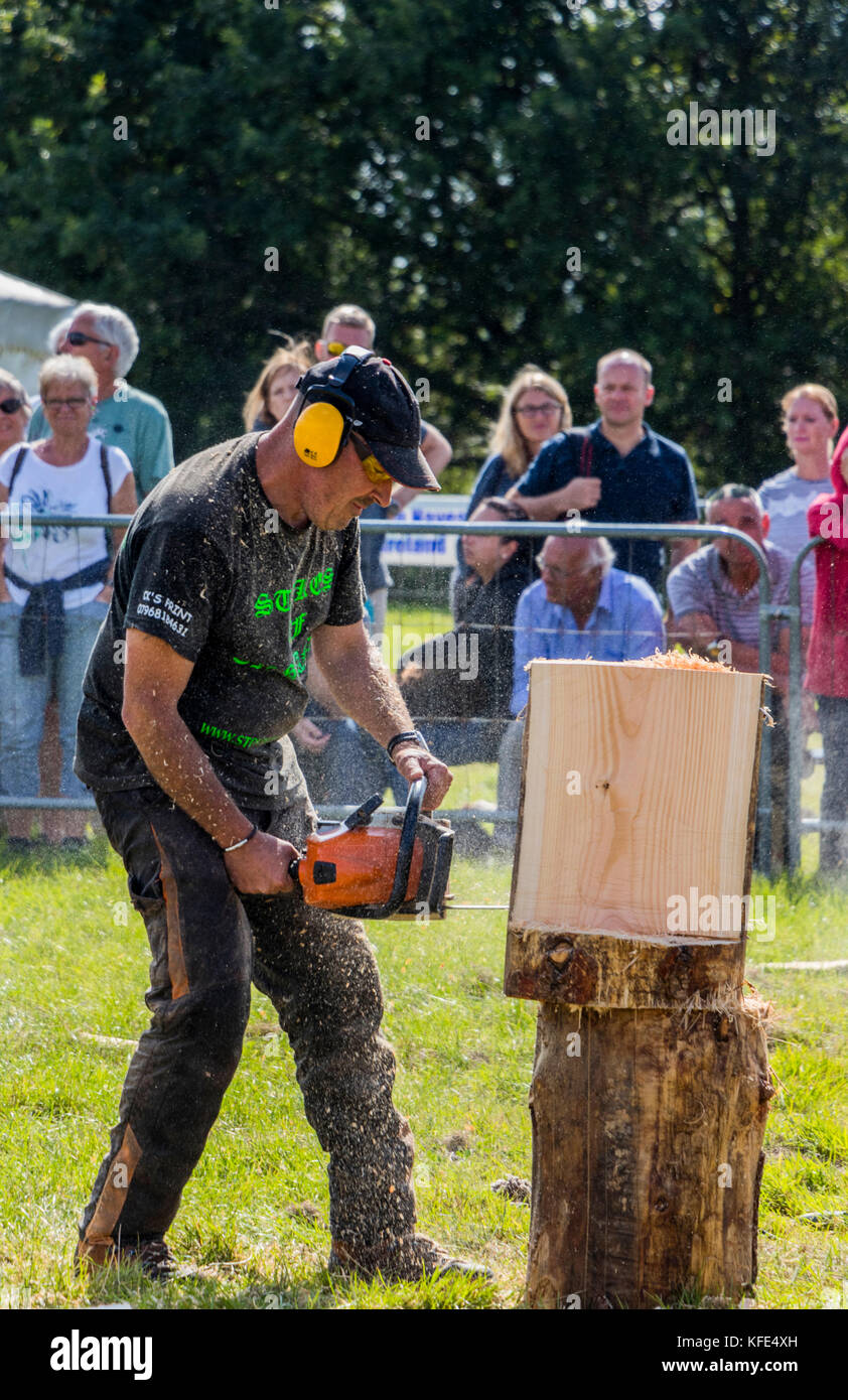 Chainsaw competition logs hi-res stock photography and images - Alamy
