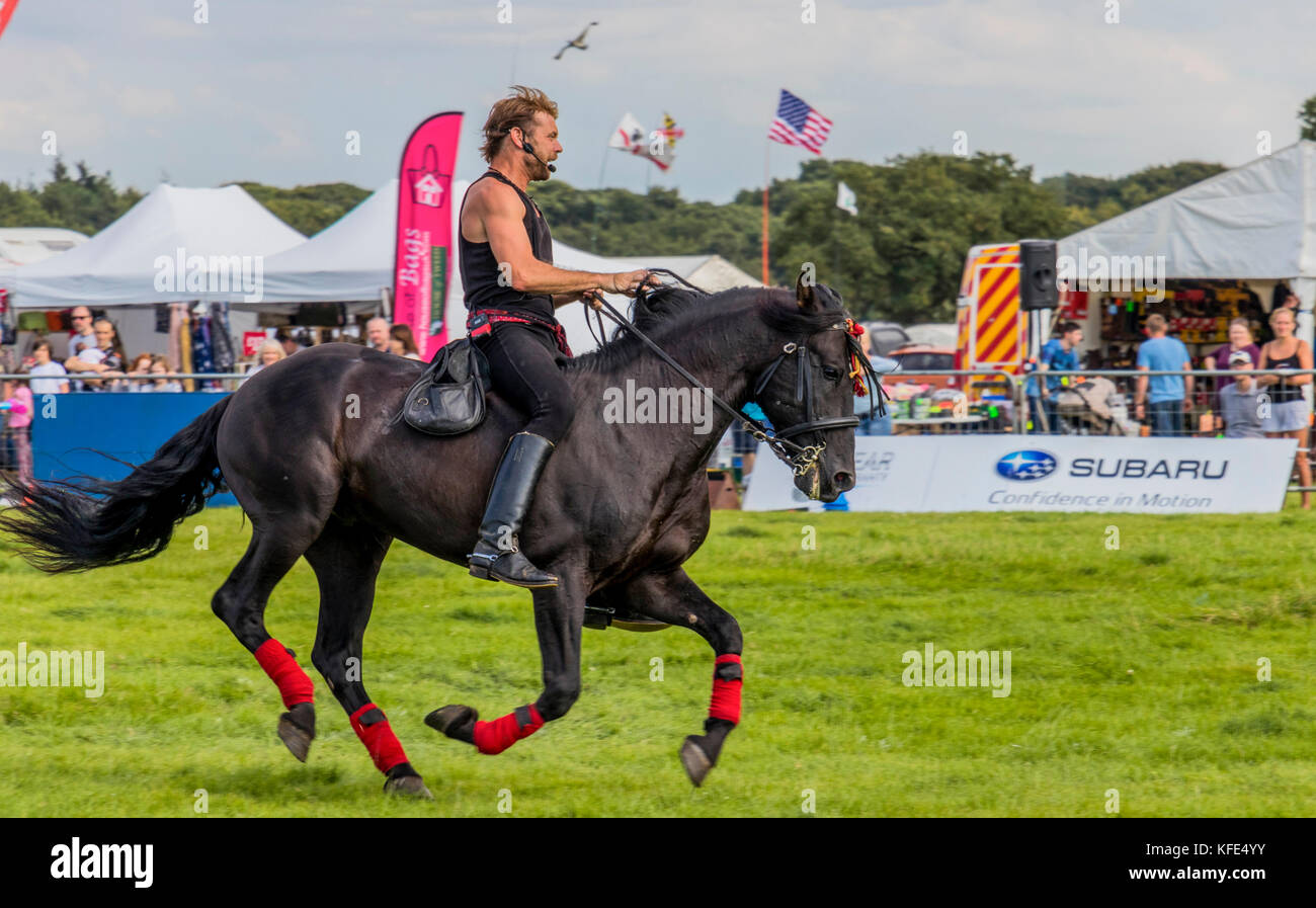 Horse Display Arena High Resolution Stock Photography and Images - Alamy