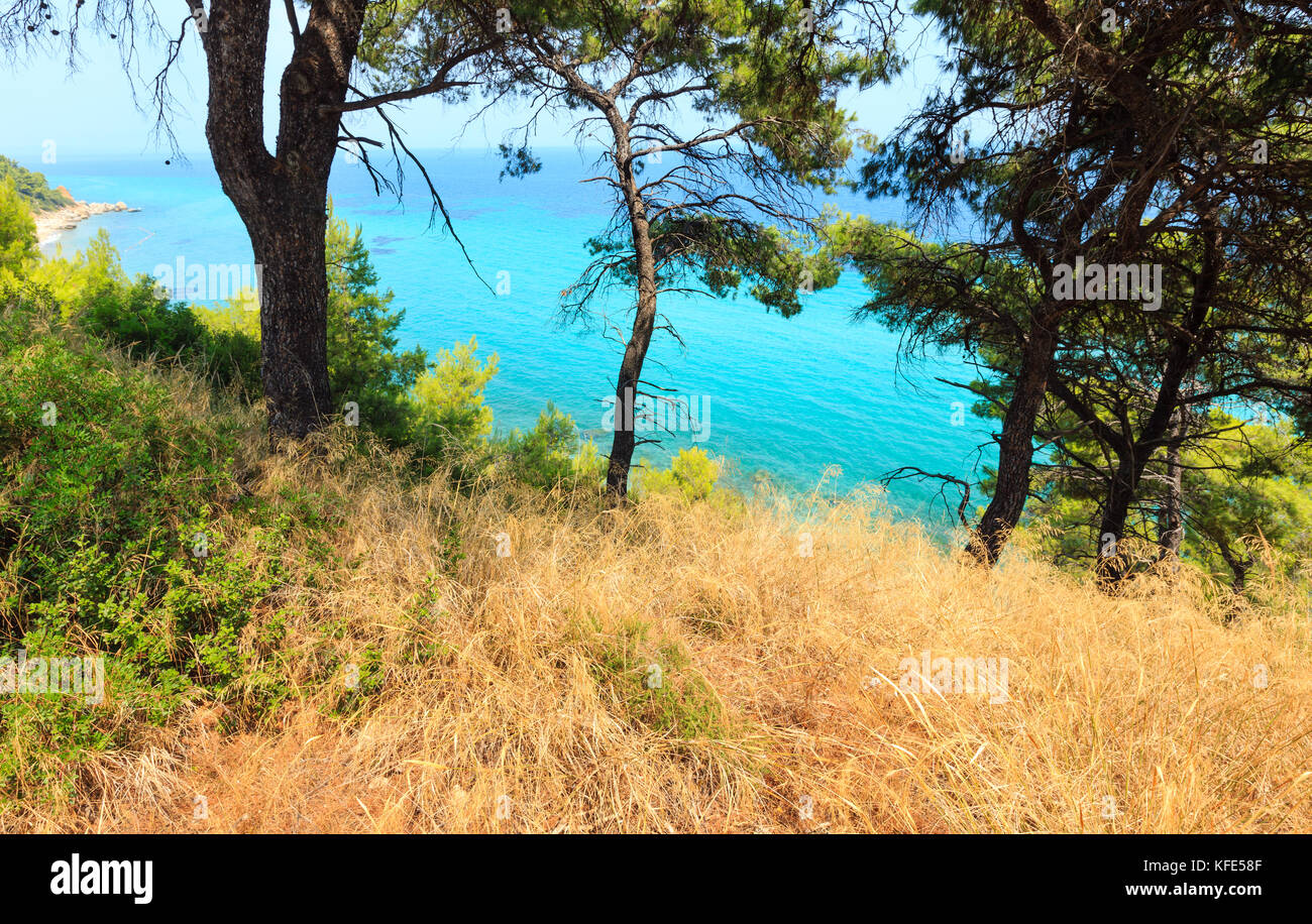 Summer sea coast morning landscape (Kassandra peninsula, Halkidiki ...