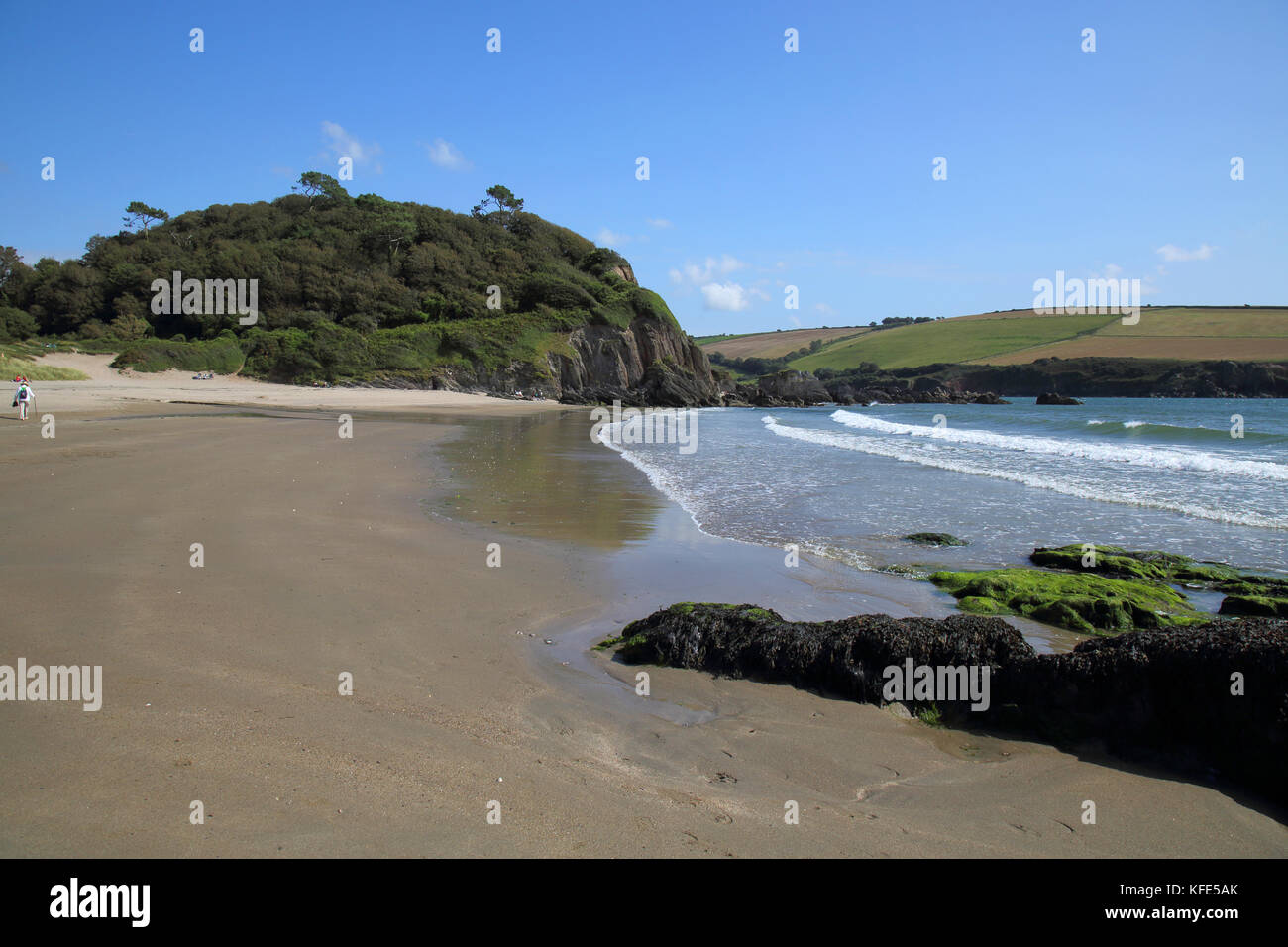 Mothecombe devon hi-res stock photography and images - Alamy