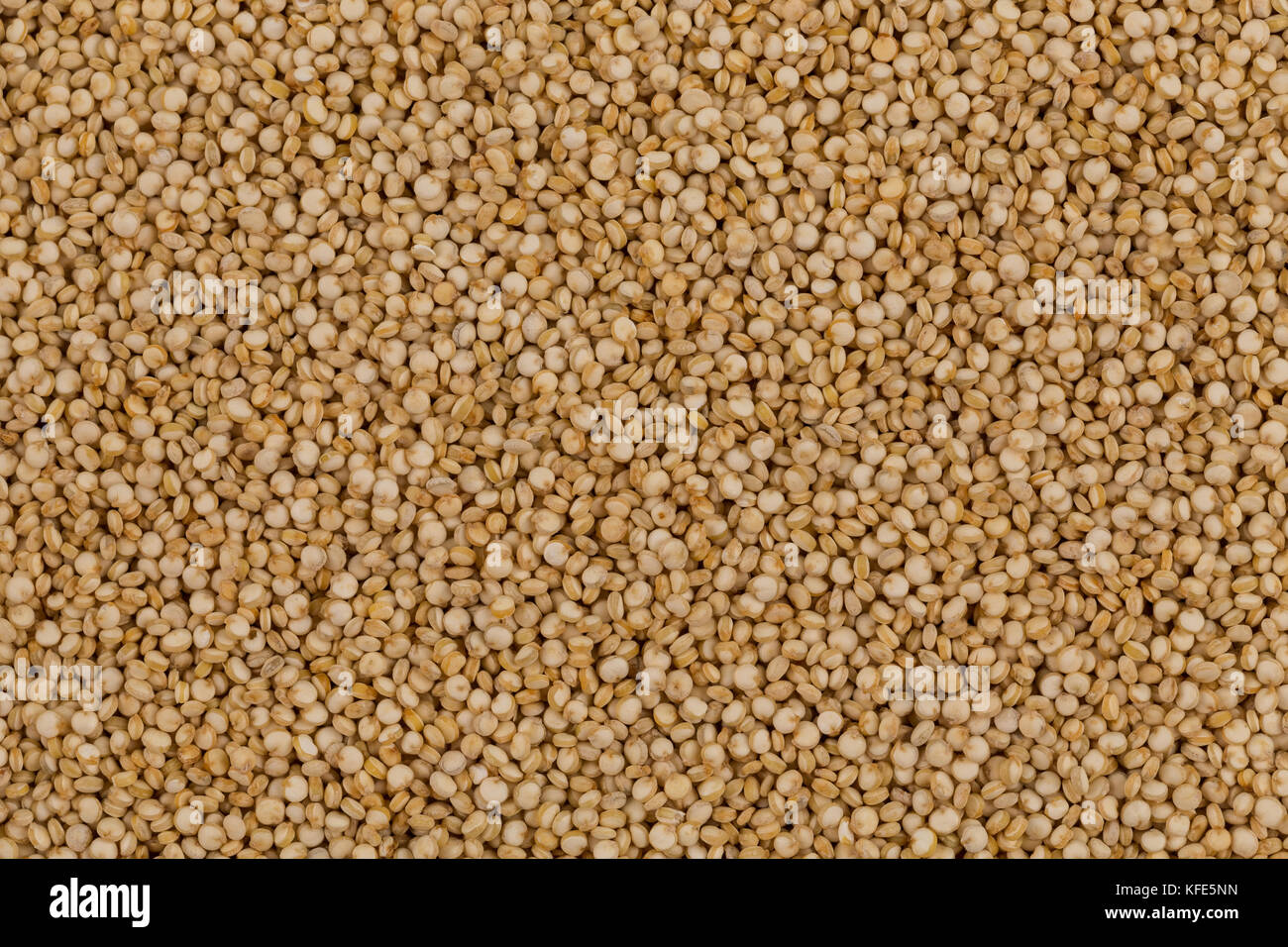 Organic Quinoa (Chenopodium quinoa) seeds Macro close up background ...