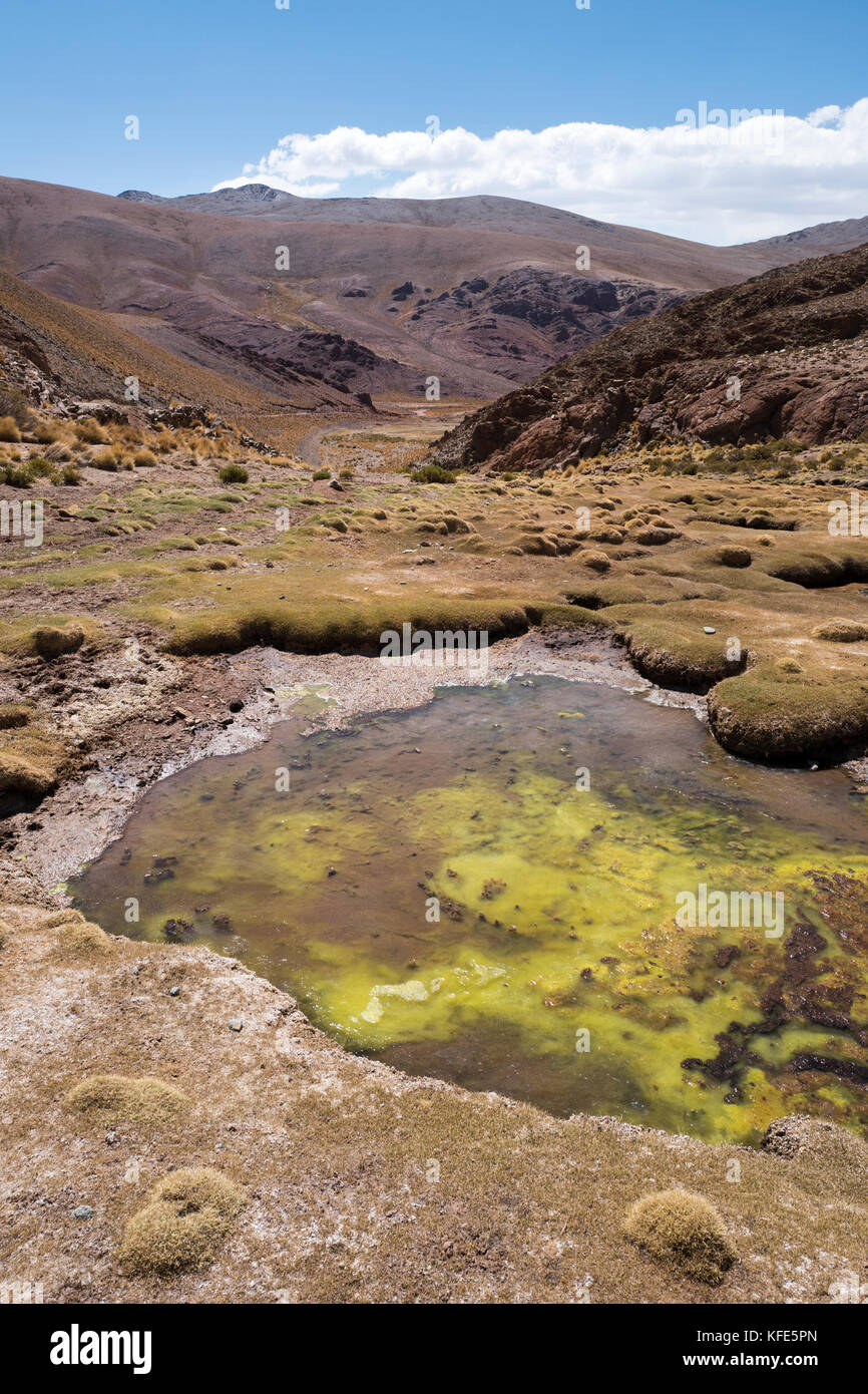 Area salta province argentina hi-res stock photography and images - Alamy