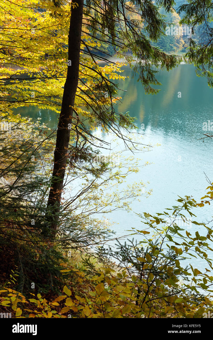 National Nature Park Synevyr autumn landscape. Is largest lake in the ...