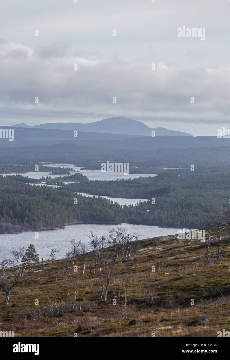 A beautiful forest on a hillside. Autumn wood scenery in the Norwegian ...