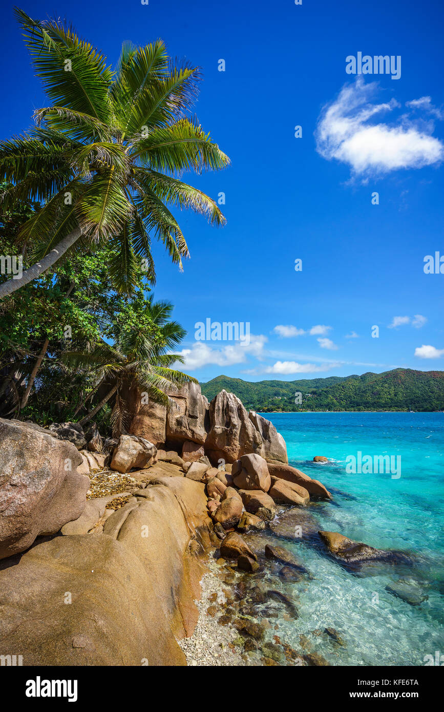 Little island St Pierre on the seychelles Stock Photo - Alamy