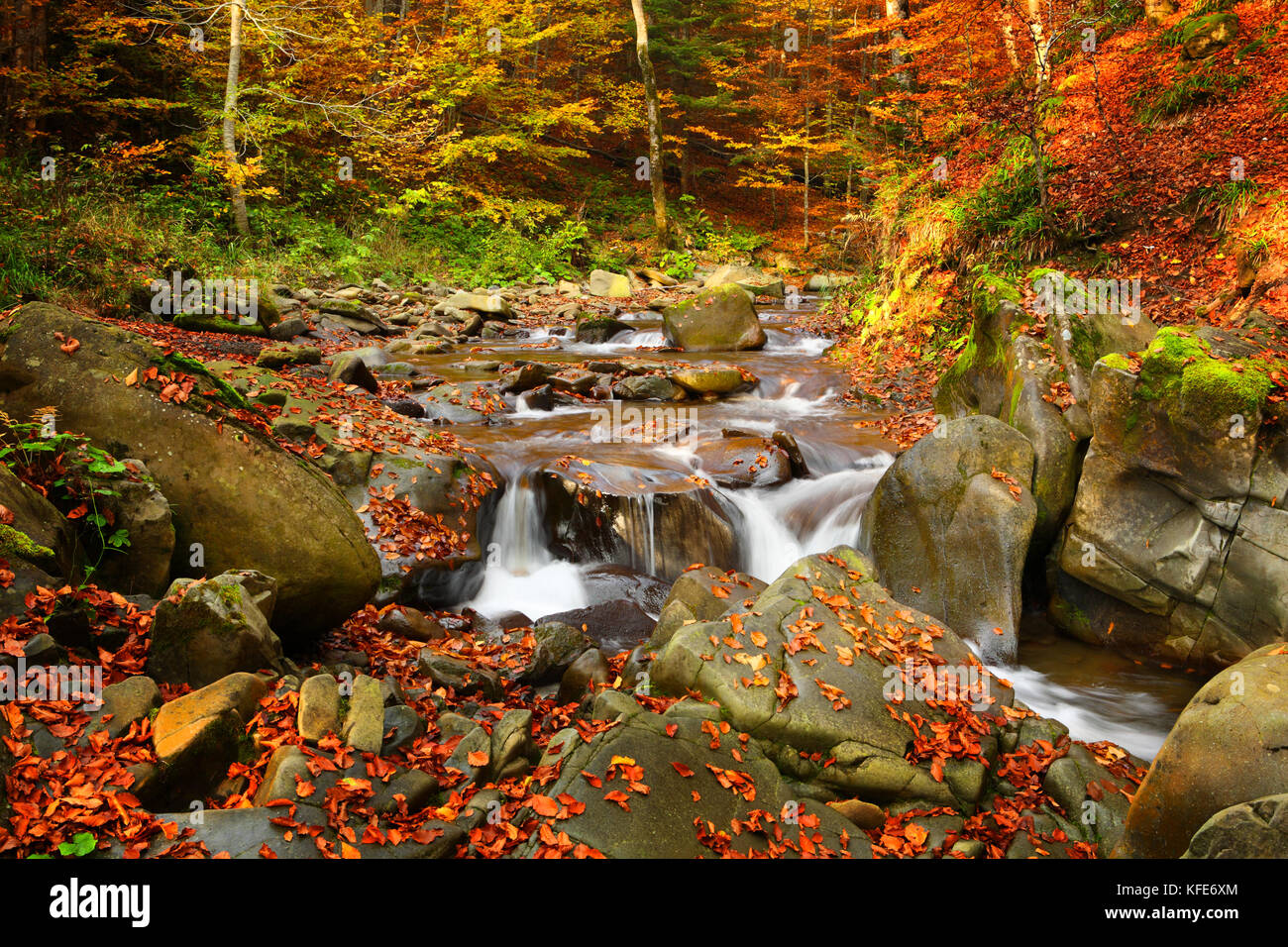 Magnificent view of the waterfall in the Autumn Beech Forest in Europe ...