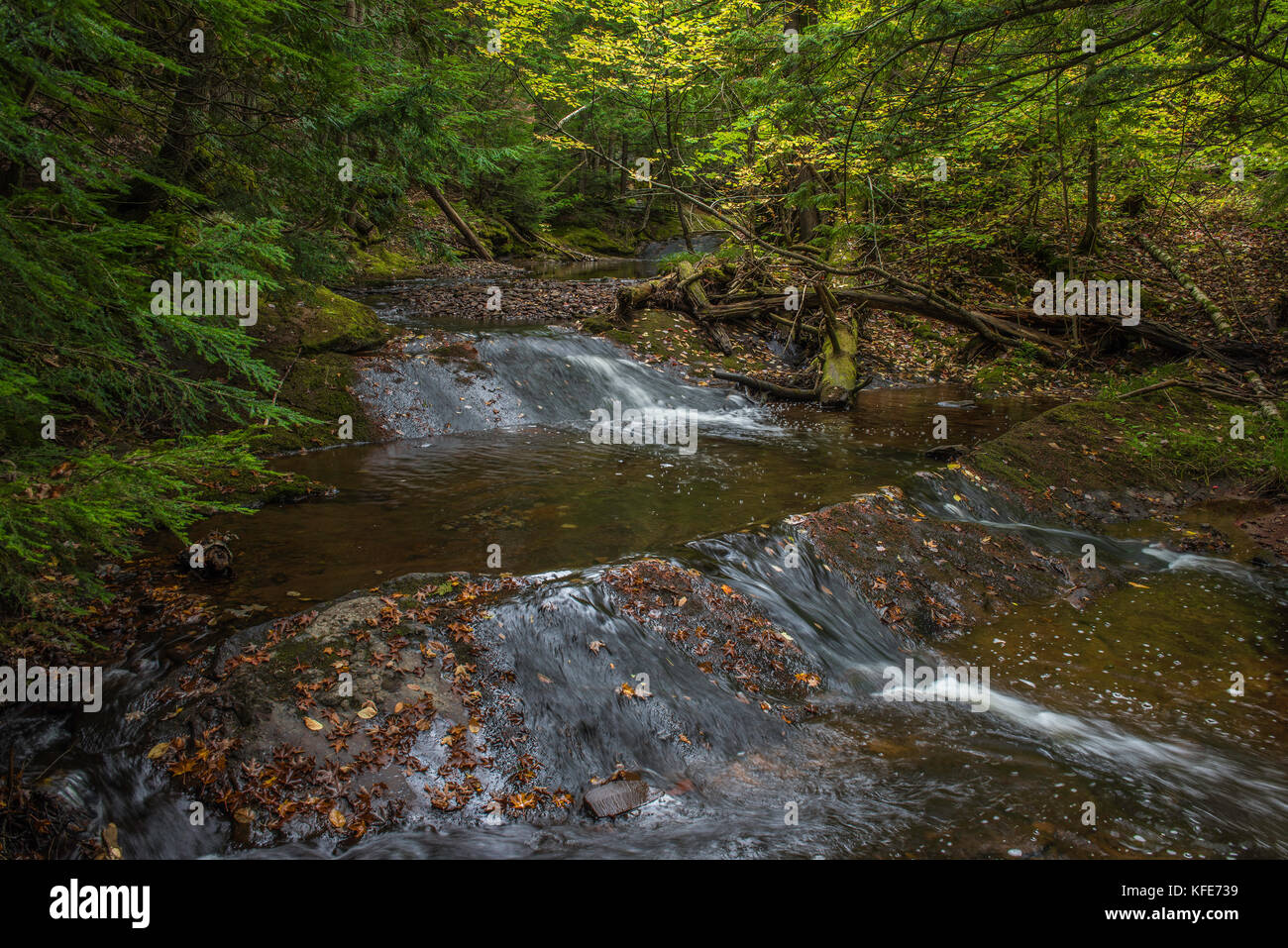 Wilderness state park hi-res stock photography and images - Alamy