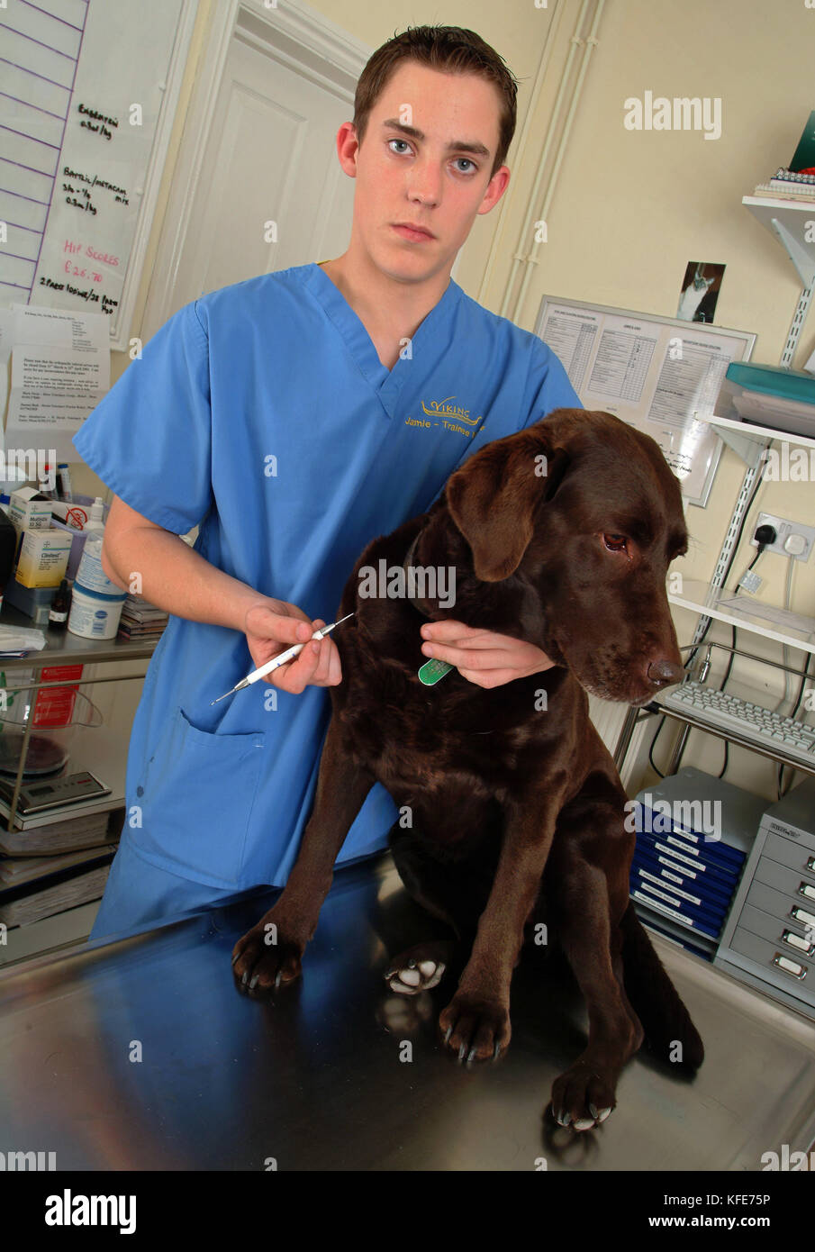 Trainee veterinary nurse, Jamie Burt with vet Maria Lowe at Viking ...