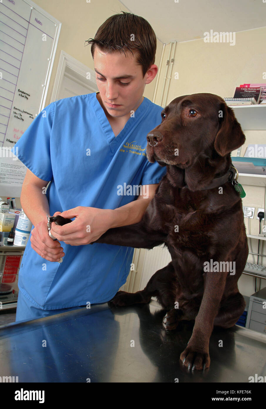 Male vet nurse hi-res stock photography and images - Alamy
