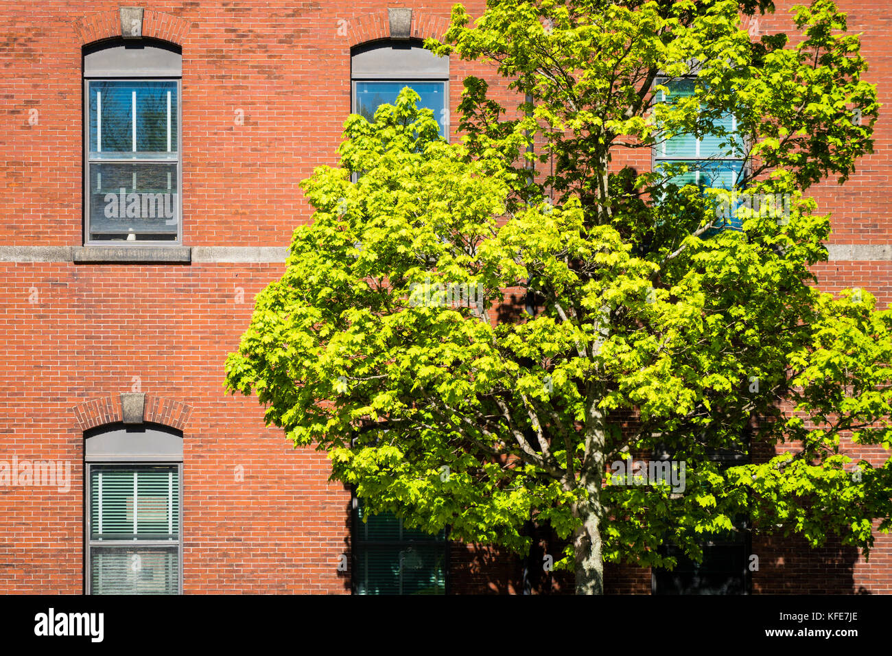 Brick foliage hi-res stock photography and images - Alamy