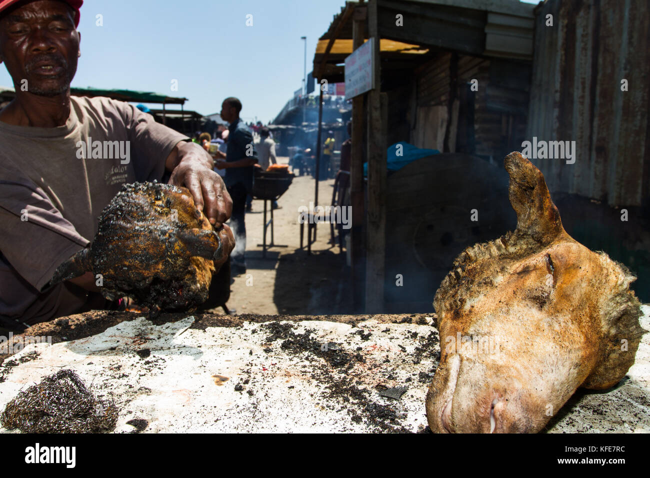 Smiley sheep south africa hi-res stock photography and images - Alamy