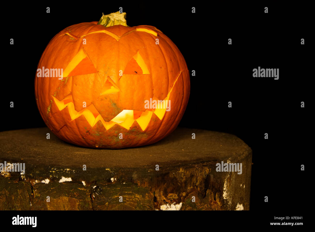 Tree Pumpkin Pattern