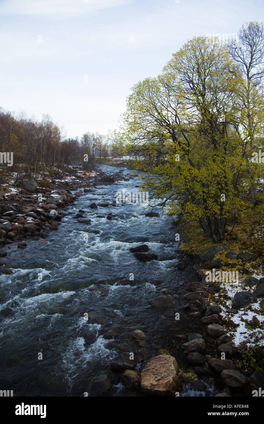 A beautiful river flowing through the Norwegian forest in autumn ...