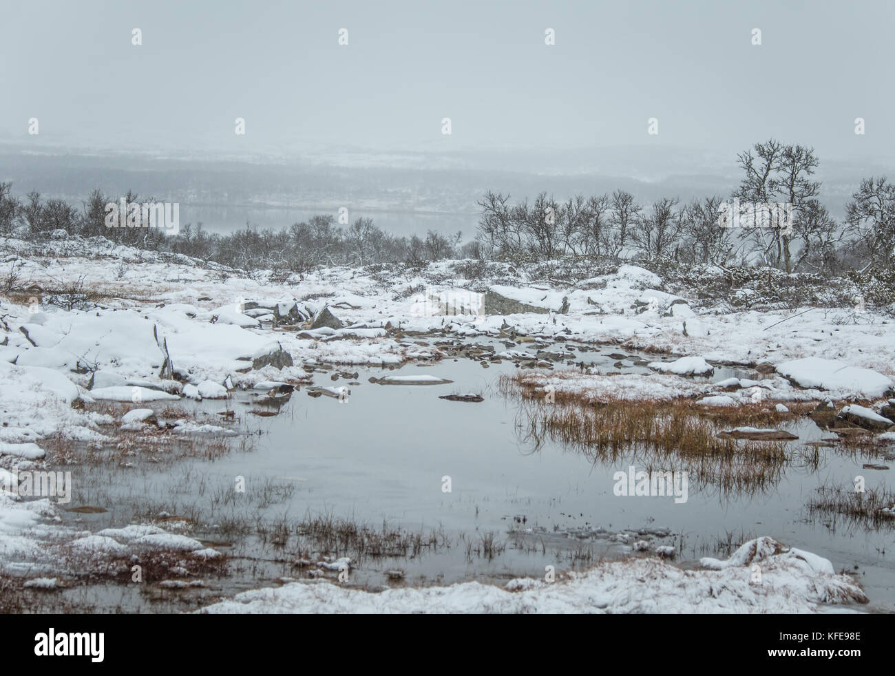 A beautiful Norwegian landscape in first snow in autumn. White, snowy ...