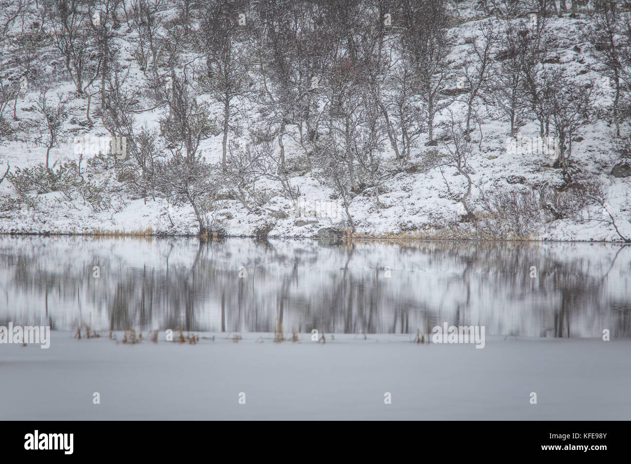 A beautiful Norwegian landscape in first snow in autumn. White, snowy ...