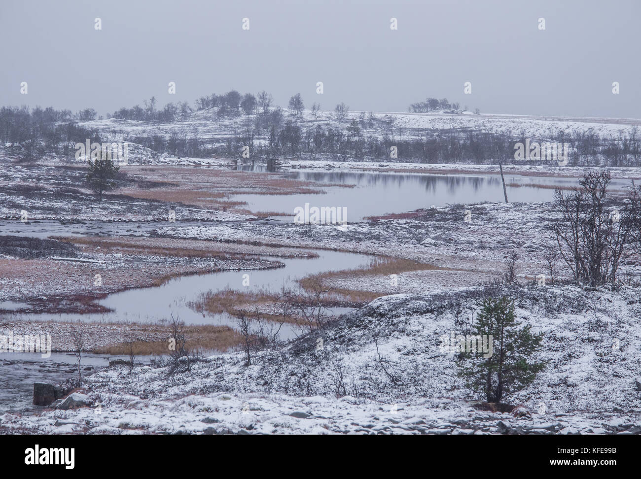 White snowy scenery hi-res stock photography and images - Alamy