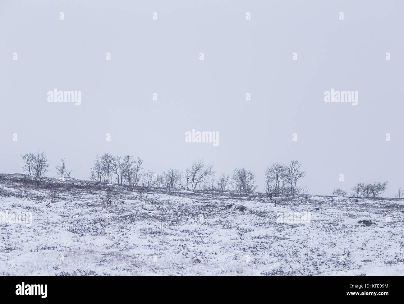 White snowy scenery hi-res stock photography and images - Alamy
