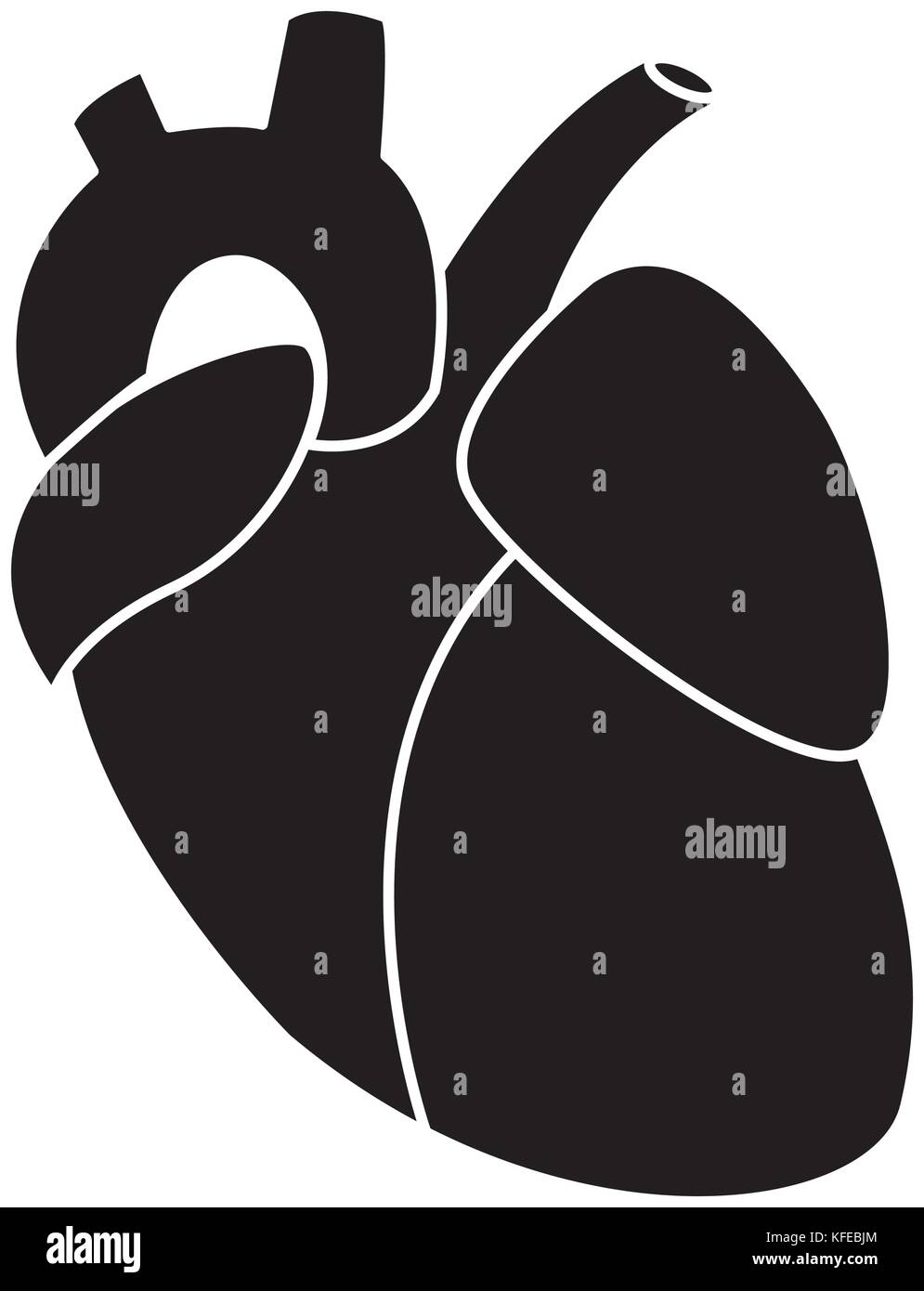 Human heart symbol Stock Vector Image & Art - Alamy