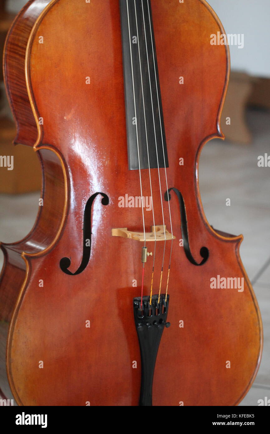 Musical instruments / Cello on a black background Stock Photo - Alamy