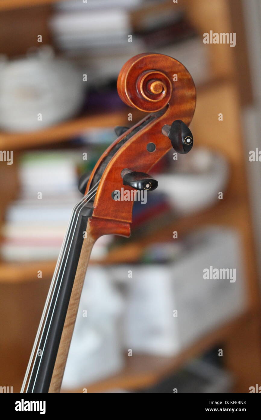 Musical instruments / Cello on a black background Stock Photo - Alamy