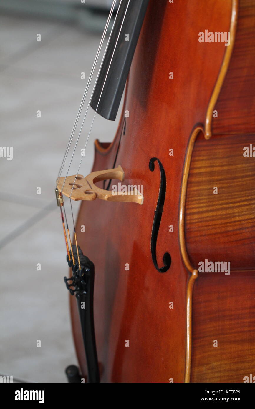 Musical instruments / Cello on a black background Stock Photo - Alamy