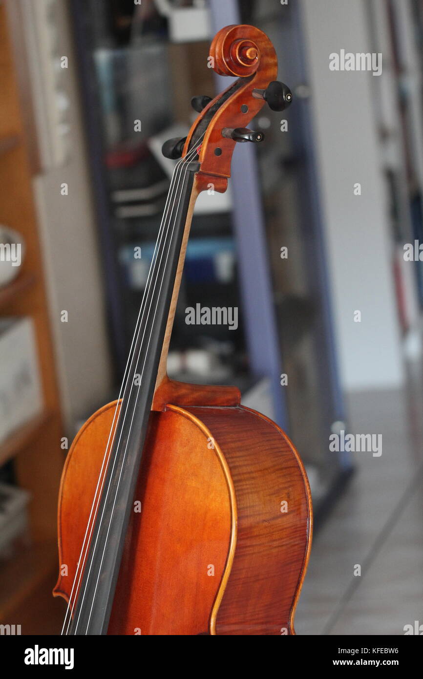 Musical instruments / Cello on a black background Stock Photo - Alamy