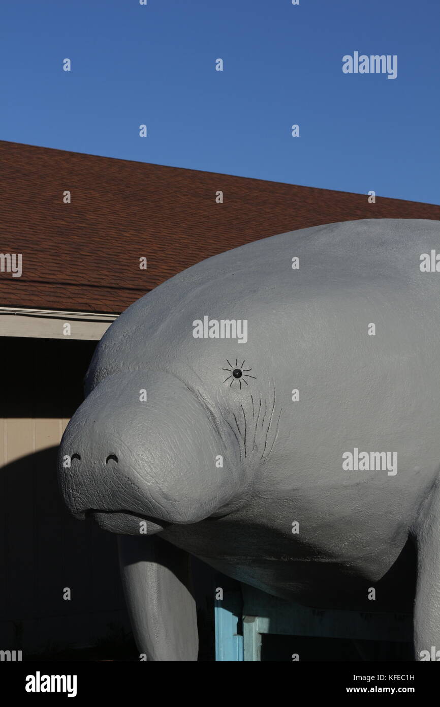 The famous large Manatee statue at the entrance to the Homosassa ...