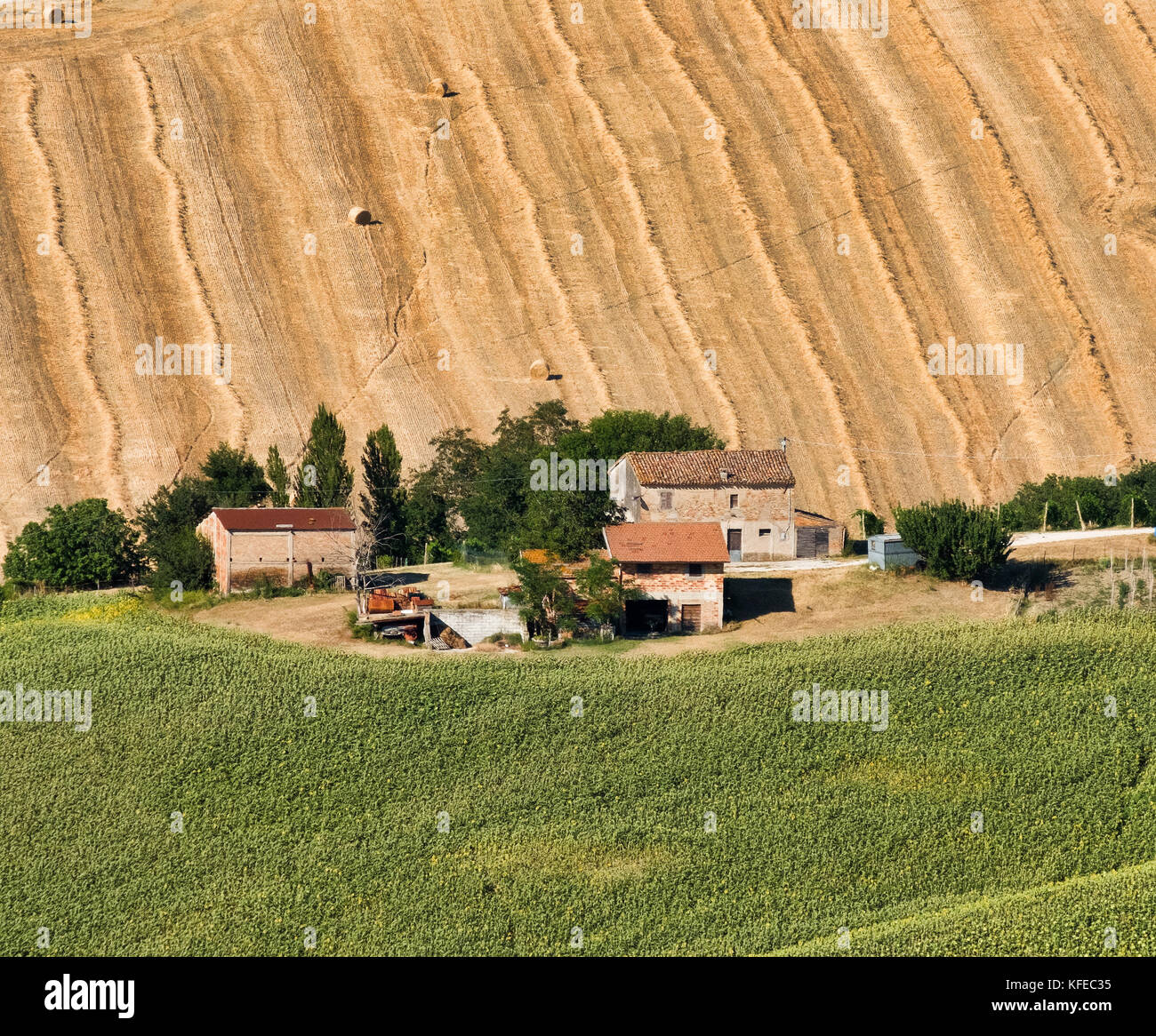 Rural landscape at summer near Barchi (Pesaro Urbino, Marches, italy ...
