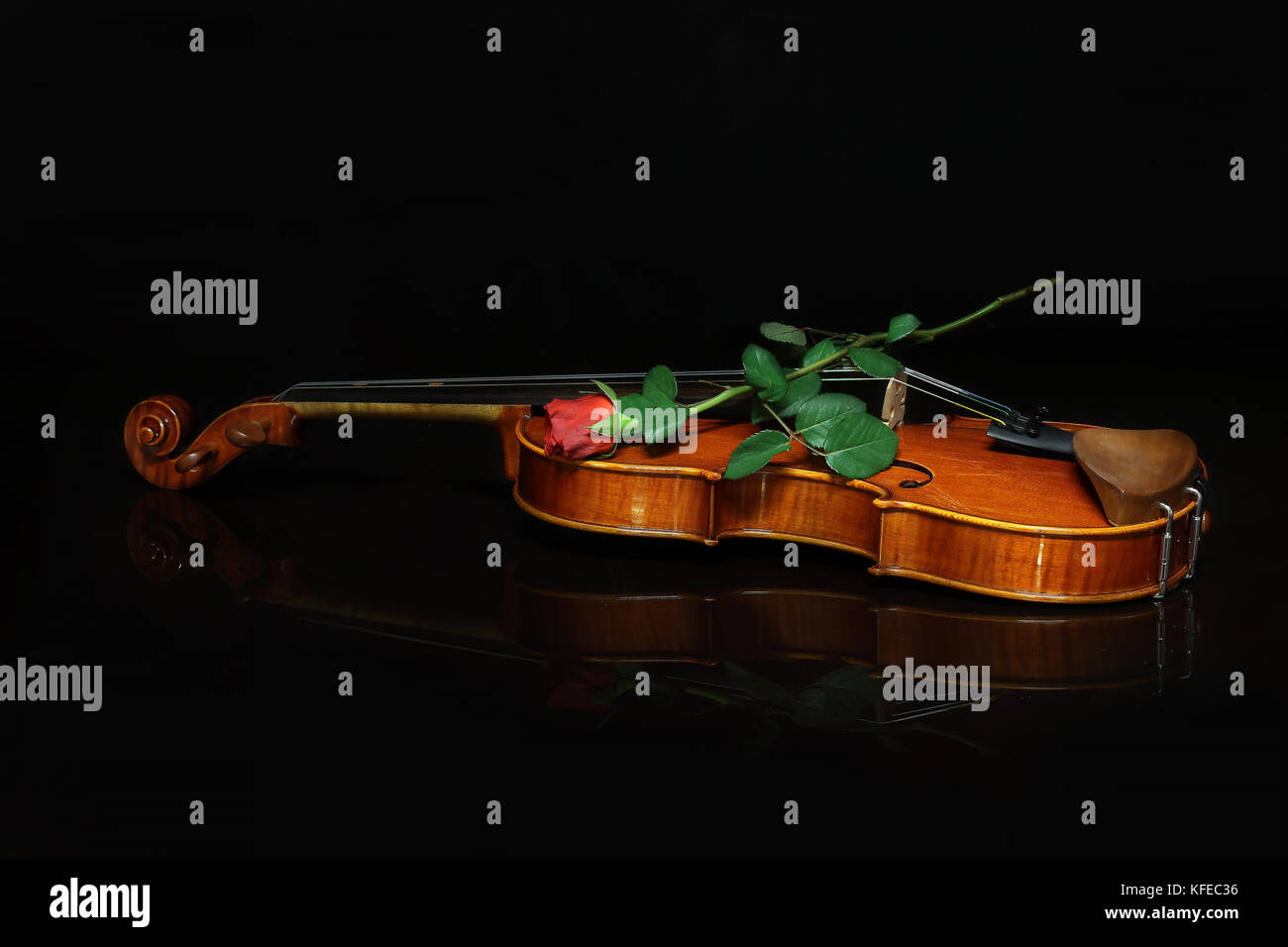 Musical instruments / Violin on a black background Stock Photo - Alamy