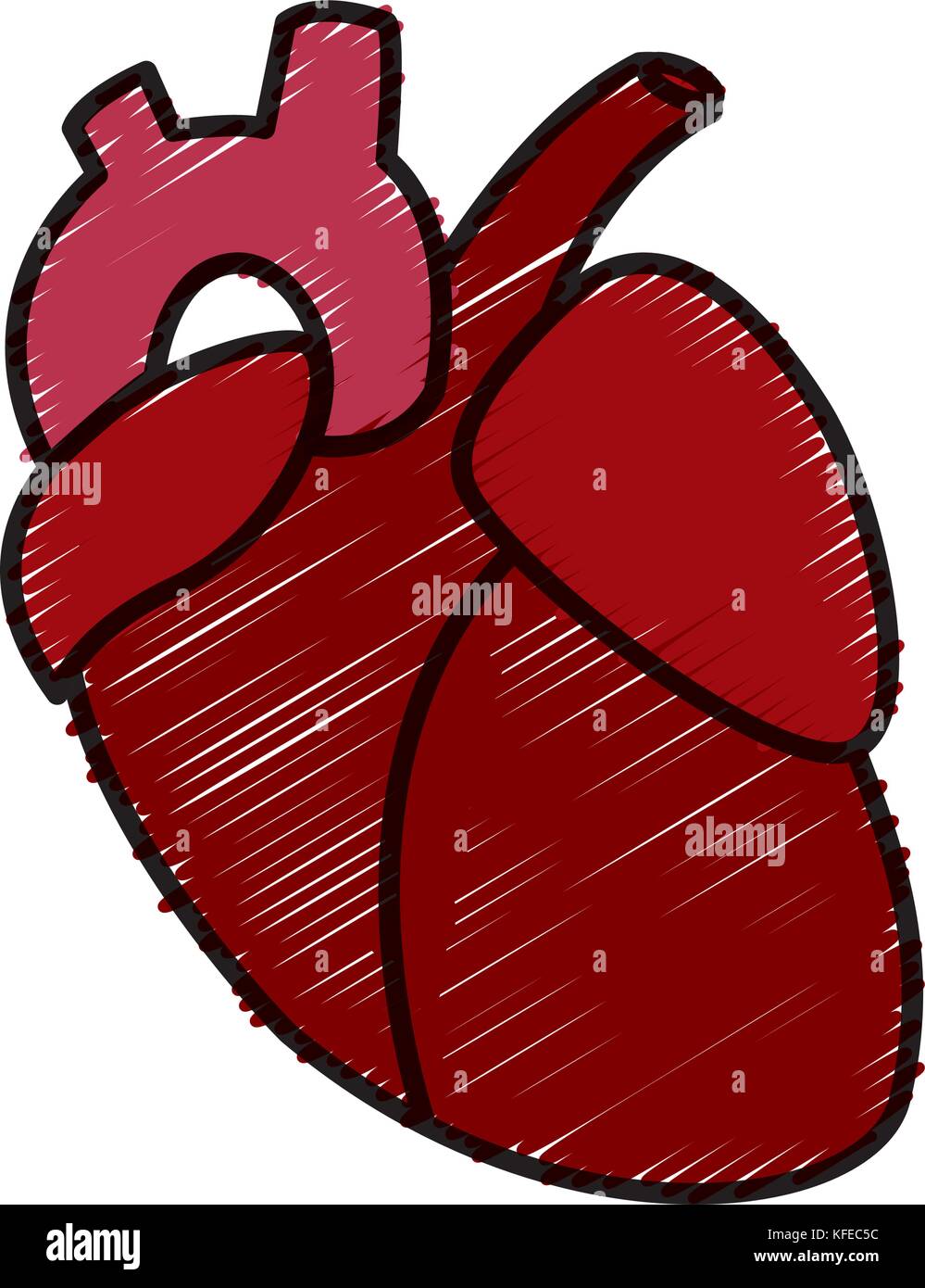 Human heart symbol Stock Vector Image & Art - Alamy