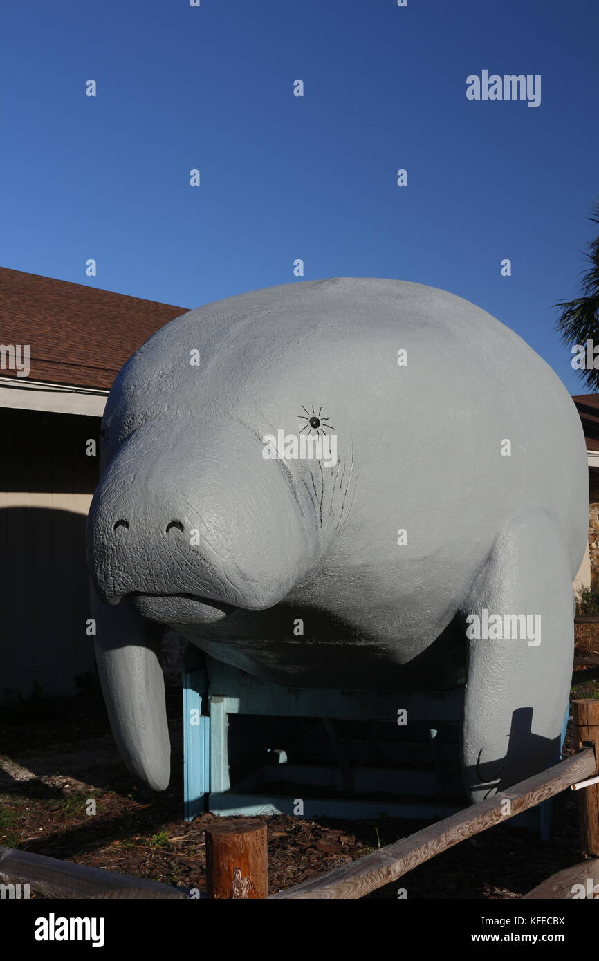 The famous large Manatee statue at the entrance to the Homosassa ...