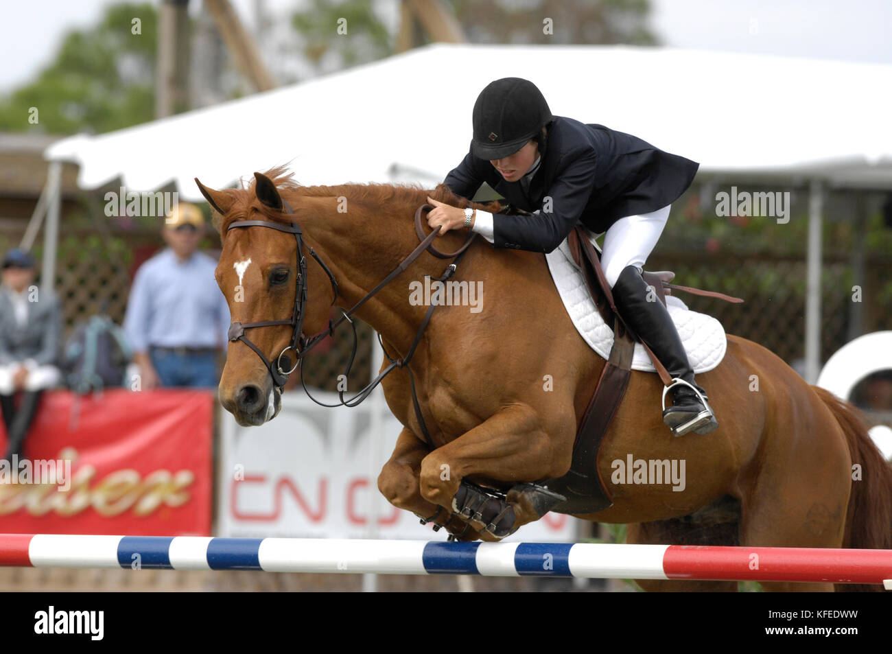 Sarah Segal (USA) riding True Love, Winter Equestrian Festival ...