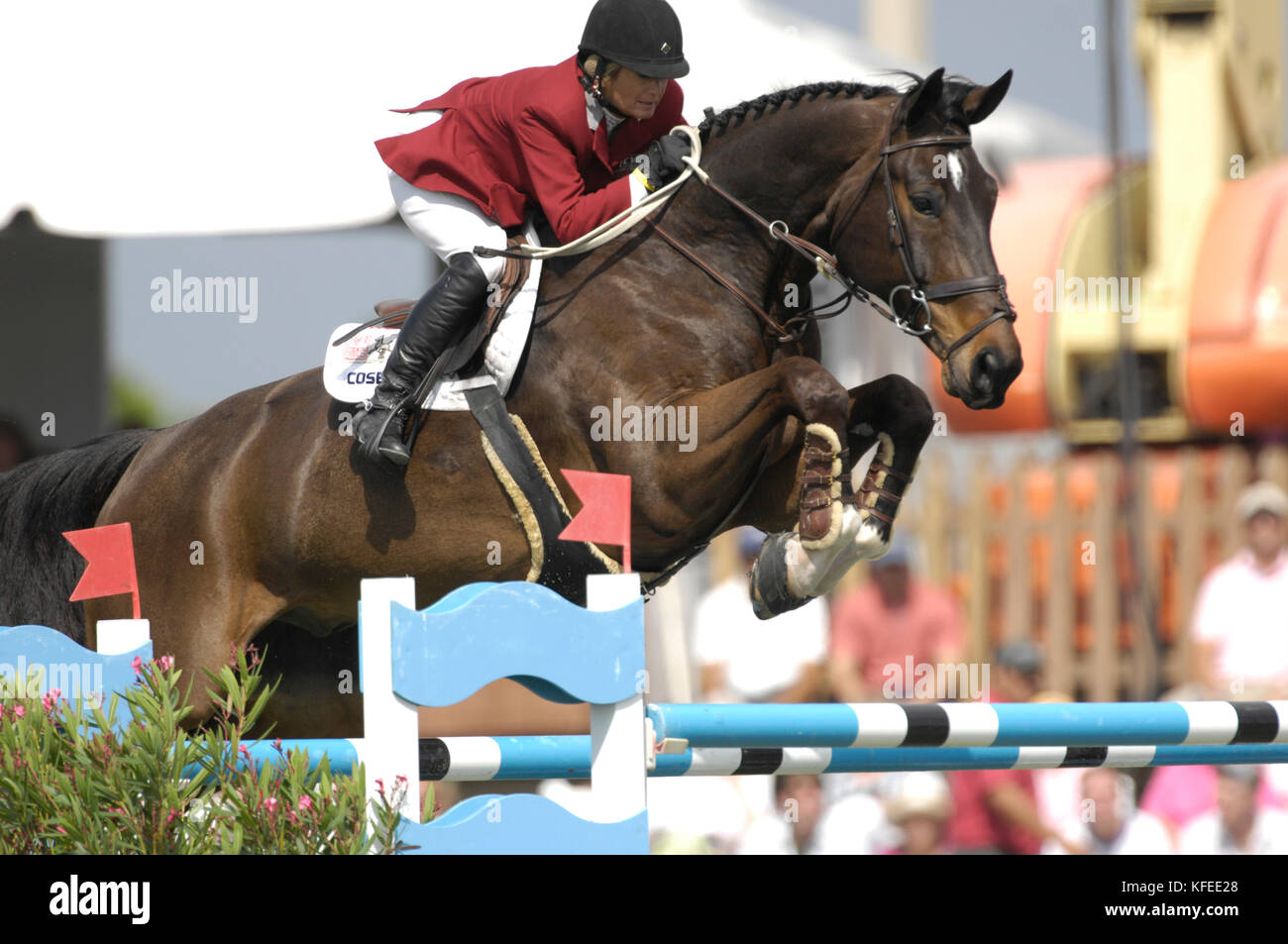 Debbie Stephens (USA) riding All Star, , January 2007, Bainbridge Idle ...
