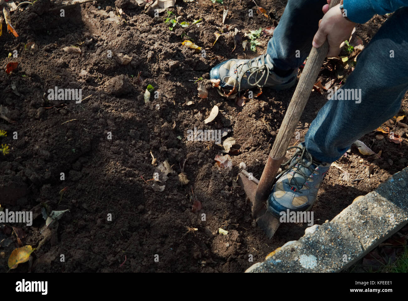 Farmer digging spade hand tool hi-res stock photography and images - Alamy