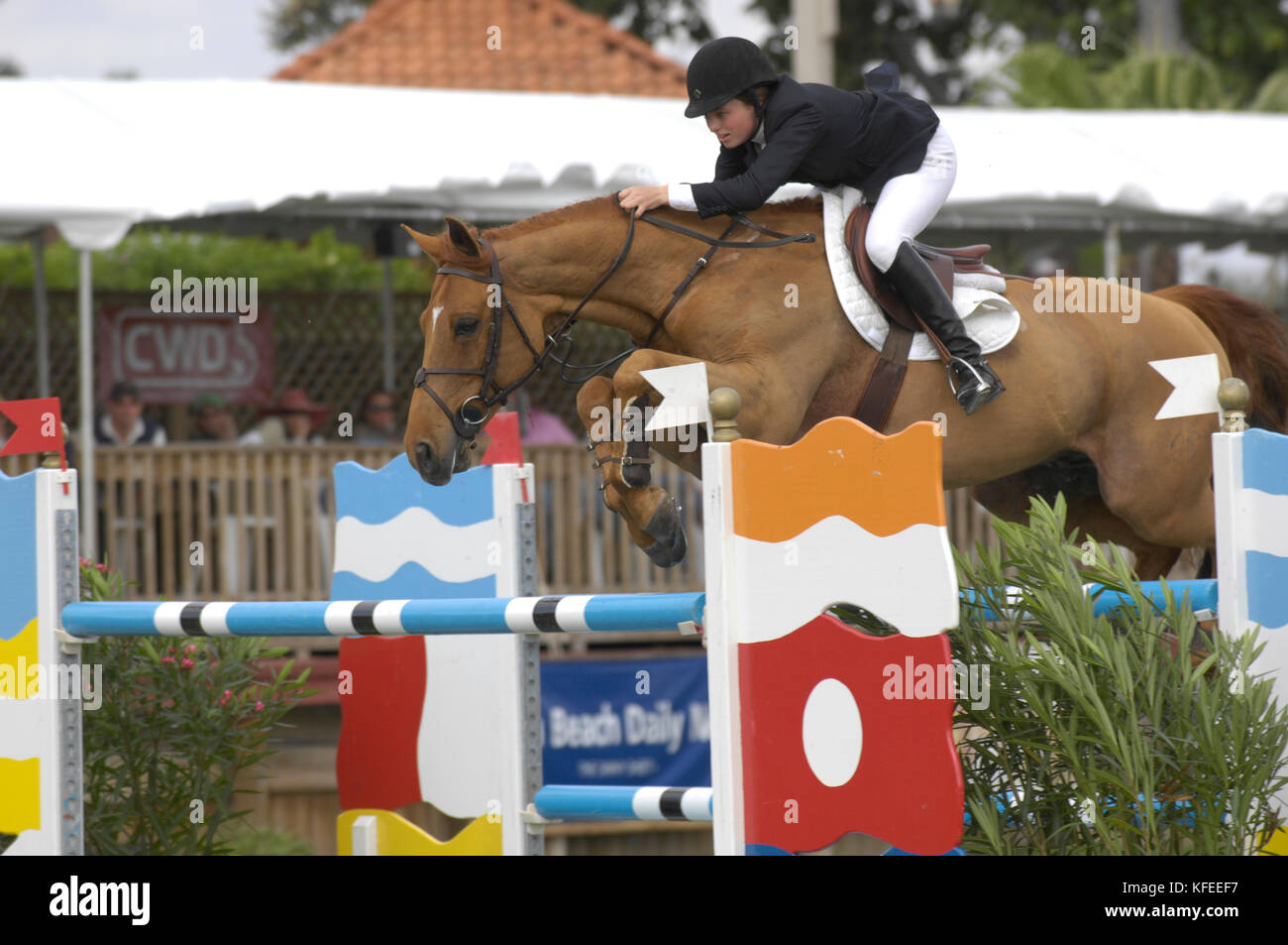 Sarah Segal riding True Love, Winter Equestrian Festival, Wellington ...