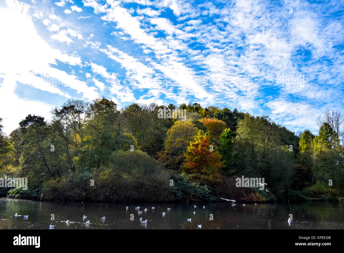 Yeovil country park hi-res stock photography and images - Alamy