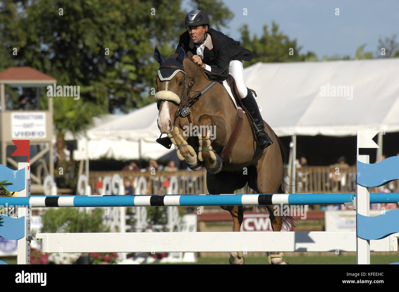 Jonathon Miller (CAN) riding Noble 1, Winter Equestrian Festival ...