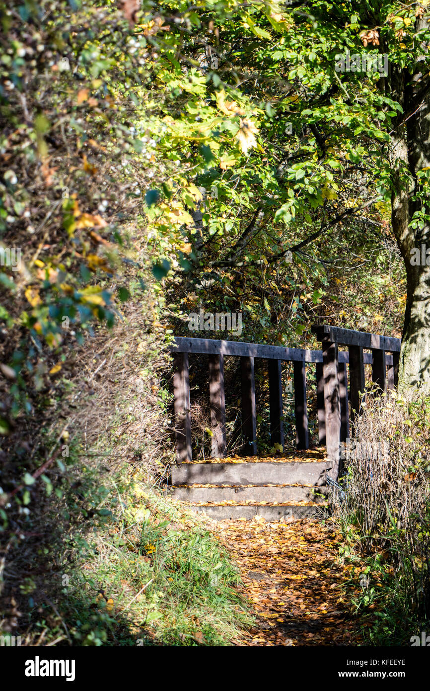 Beautiful little bridge in the park in autumn Stock Photo - Alamy