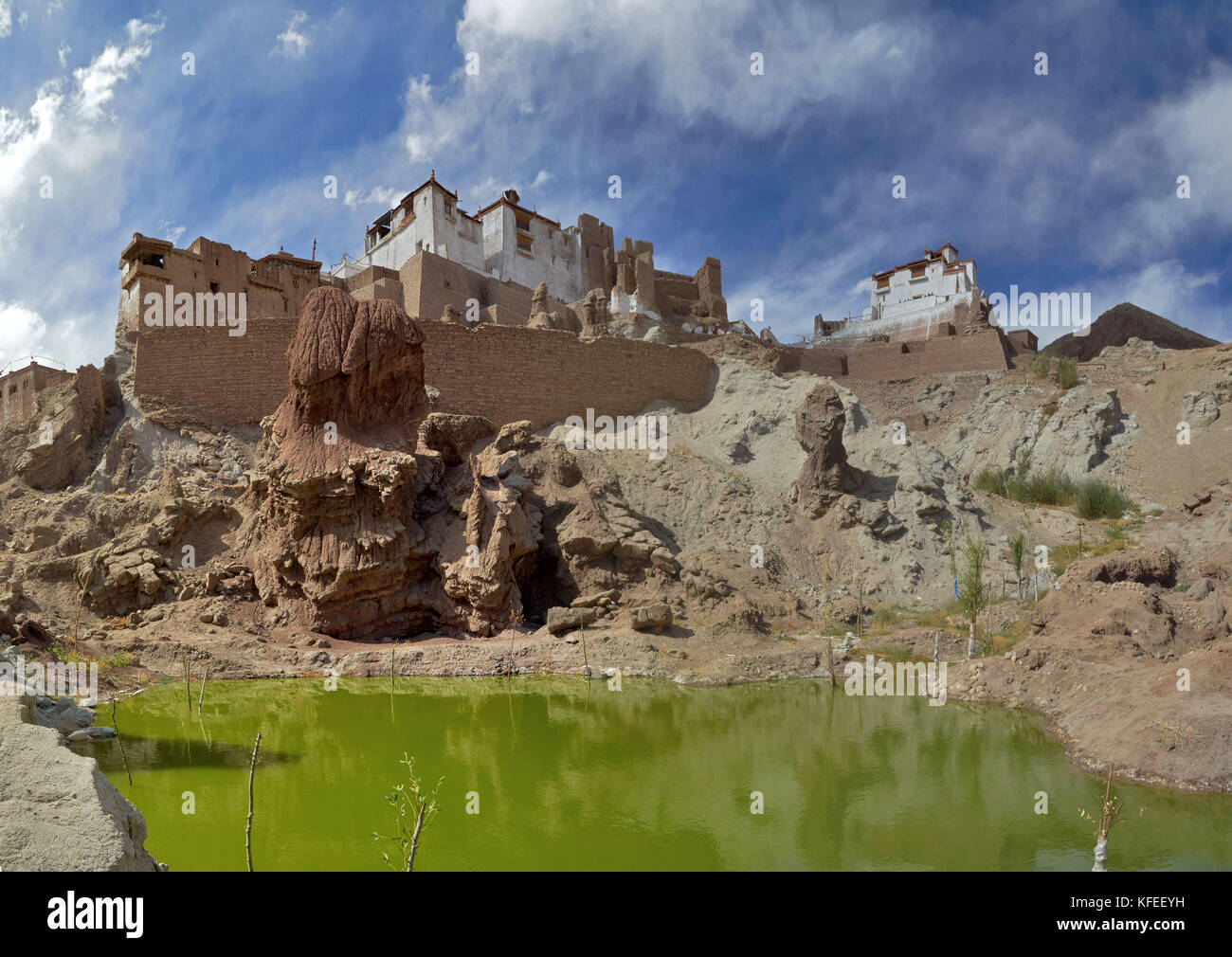 Buddhist monastery of Basgo Gonpa: the snow-white buildings of the ...